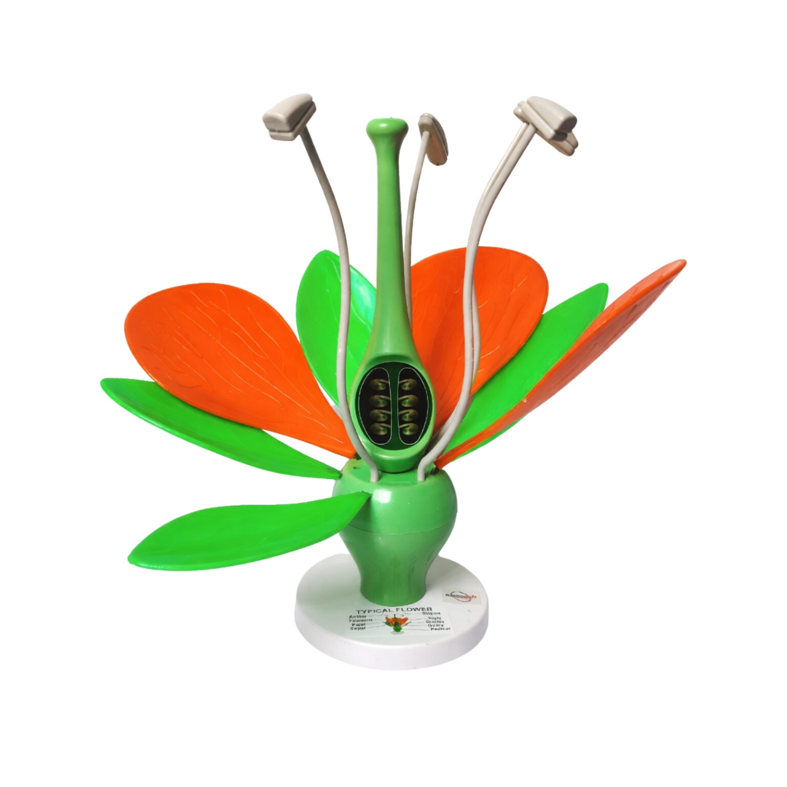 Typical Flower Model at ₹350 | Manufacturers in Ambala